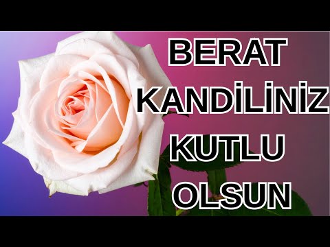 En Güzel Resimli BERAT KANDİLİ MESAJLARI Berat Kandili DUASI  #kandilmesajları #dua #kandilduası