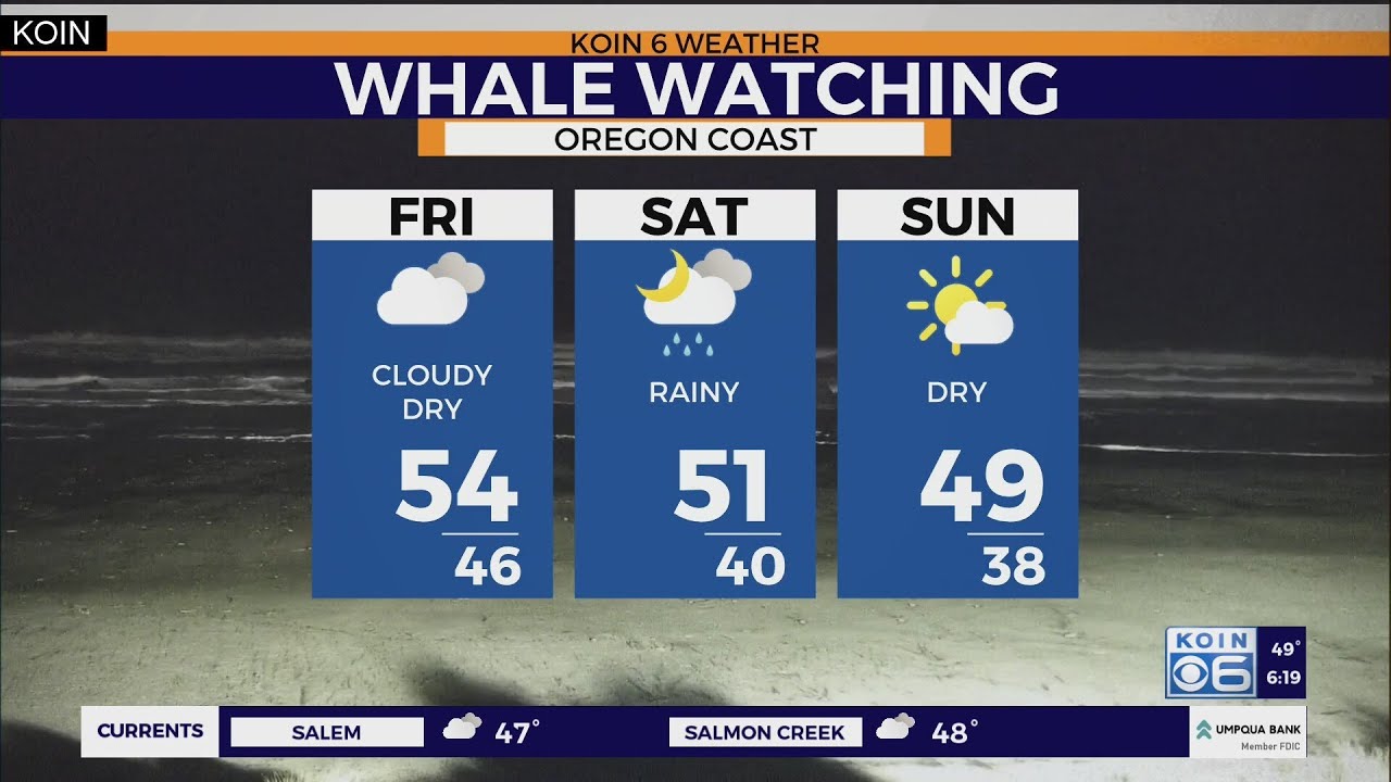 Weather forecast: Sprinkles in the forecast through Friday morning for ...