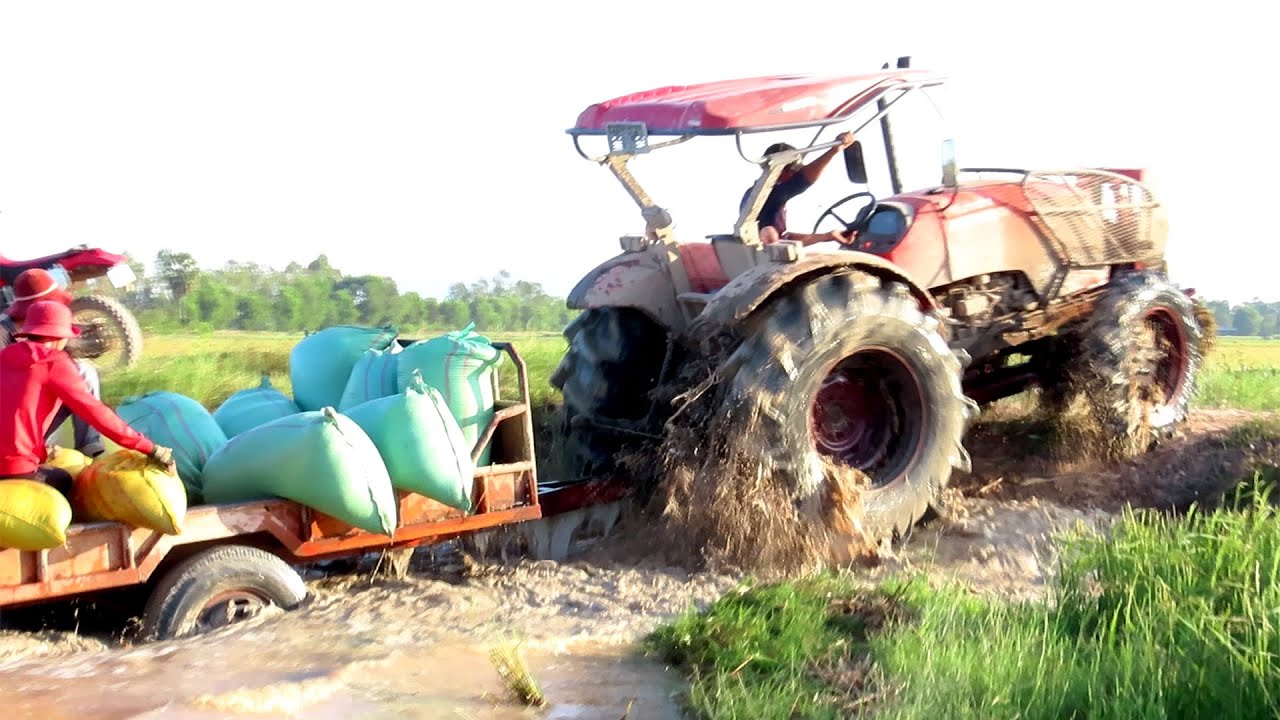 Amazing of Tractor transport rice, Tractor in deep water, Best skill ...