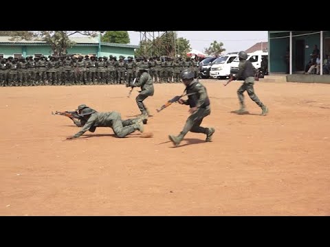 Kwara Declares War on Forest Crimes with 1,000 Strong Guard Force - YouTube