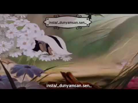 əli