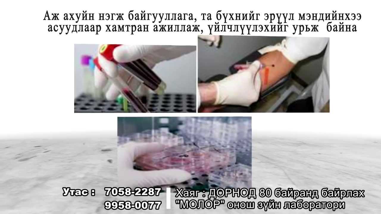 reclam MOLOR onosh zui lab - YouTube