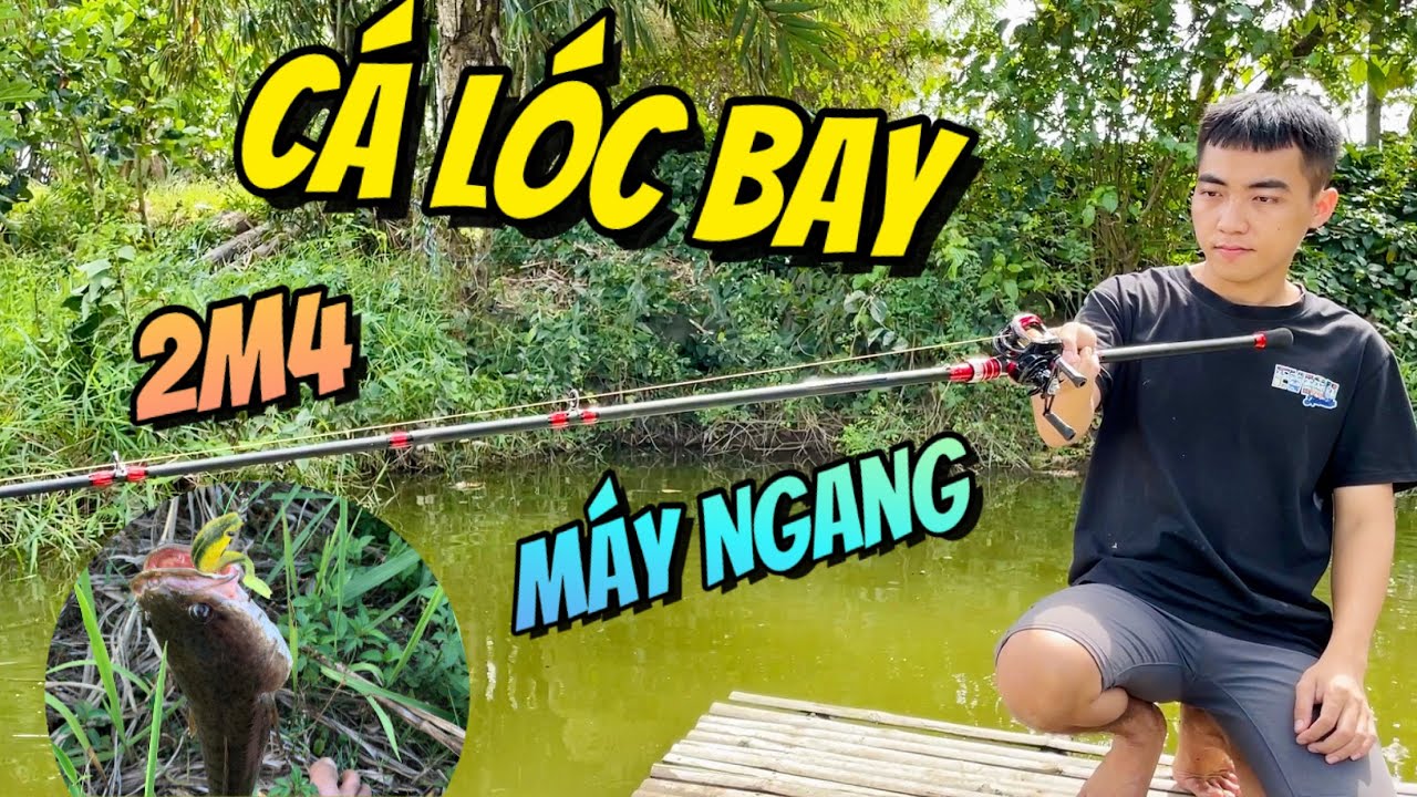Câu Rê Cá Lóc Bằng Cần Câu Máy Ngang 419k - Màn Cá Lóc Bay Siêu Đỉnh Từ ...
