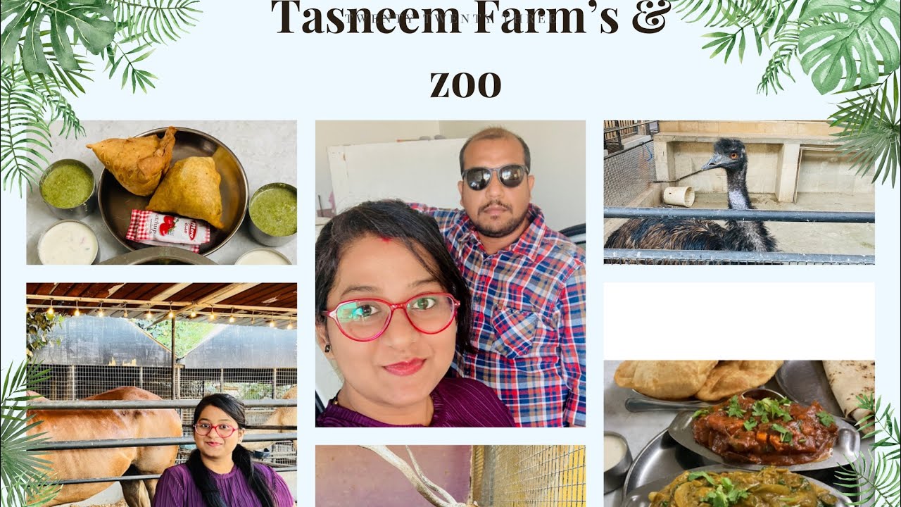 Aji bula buli Tasneem farm’s & zoo sahita bahare dinner 😊 - YouTube