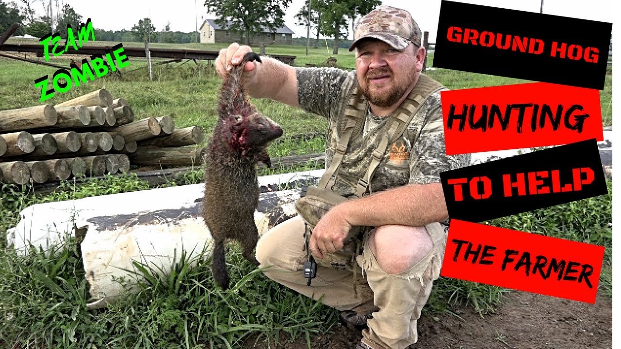 Groundhog Hunting to help the farmer (2018) - YouTube