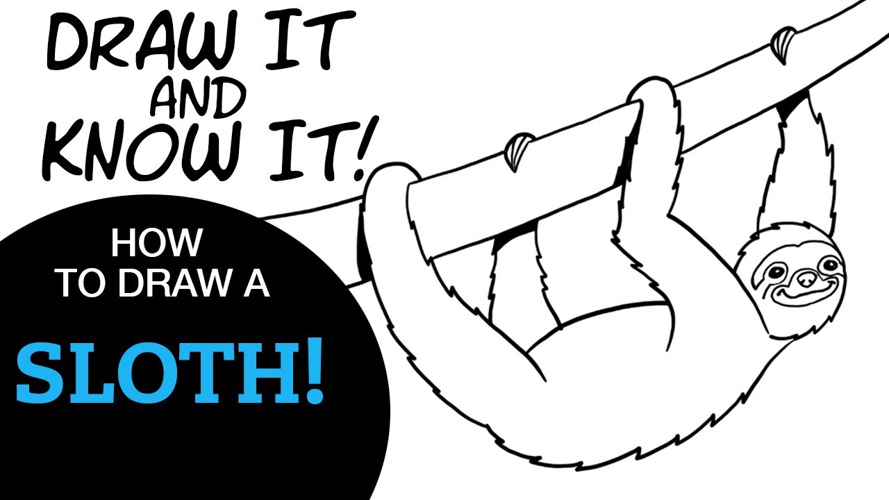 Draw It & Know It (Art Lesson Edition) | The Sloth | Reasons for Hope ...