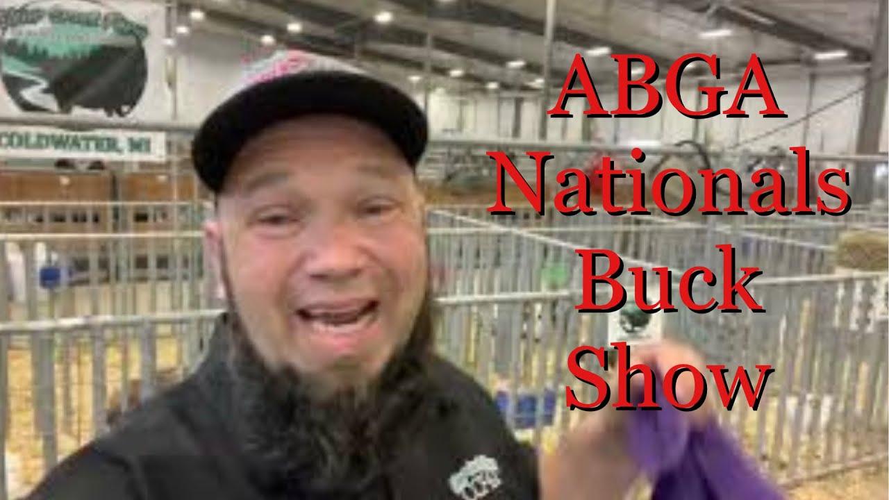 ABGA Nationals Buck Show Day - YouTube