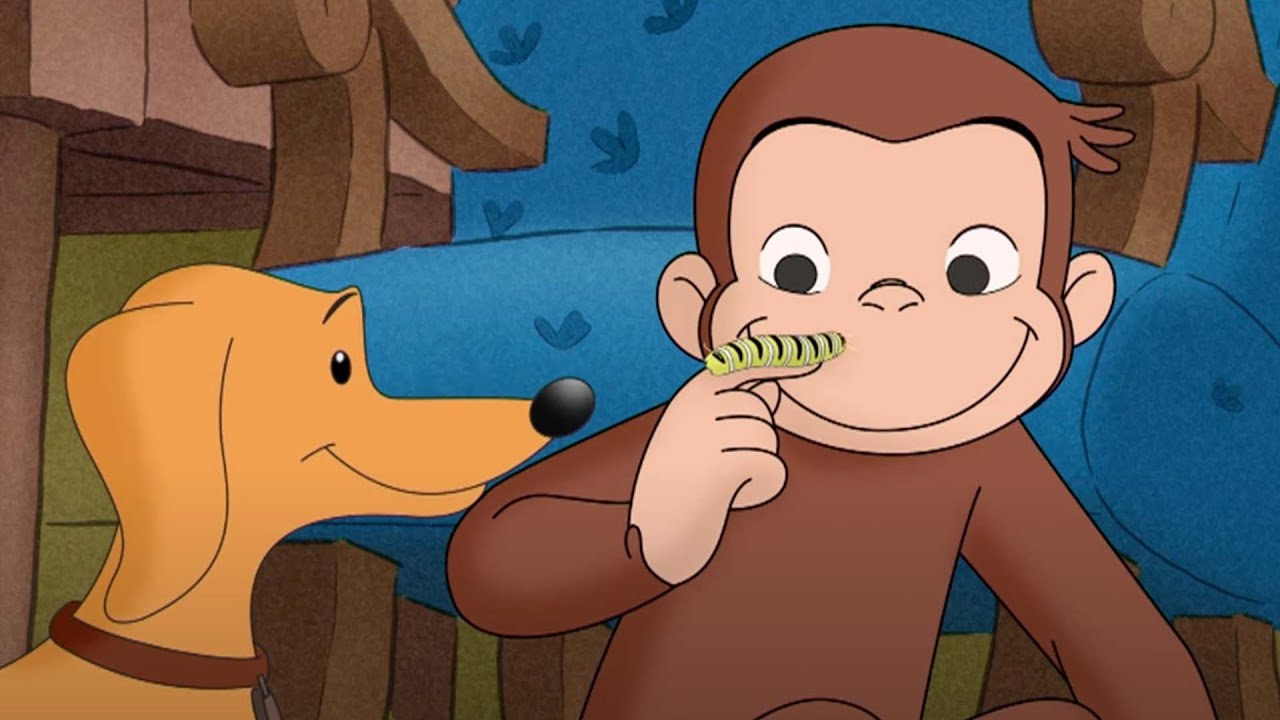 Jorge juega con su perrito y una oruga! | Jorge El curioso - YouTube