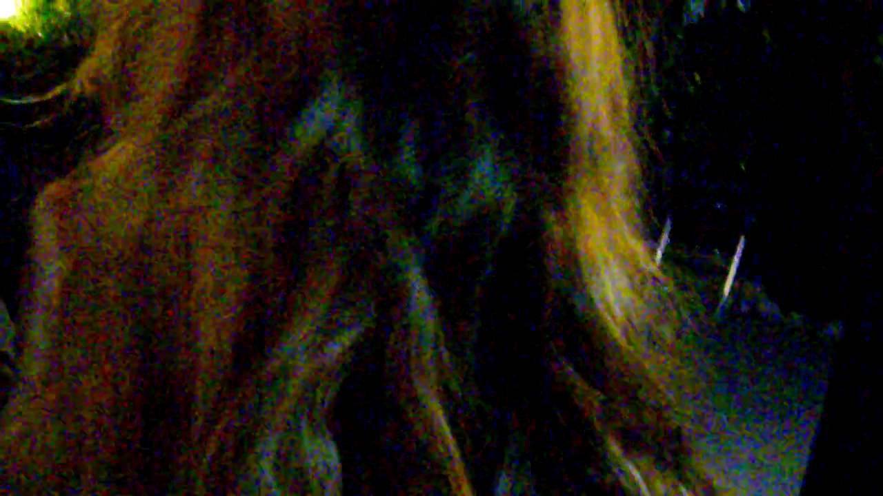 Kava session Fiji 101 - With Ty and the Kavaholics - YouTube