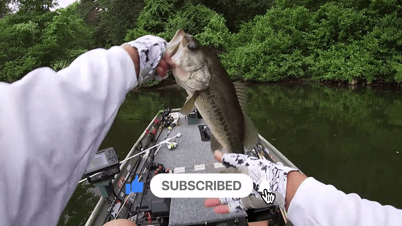 Slay Nation Small Boat Tournament - Stone Mountain, GA - YouTube