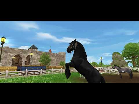 A little photo collage of my new horse falcon story soon 
