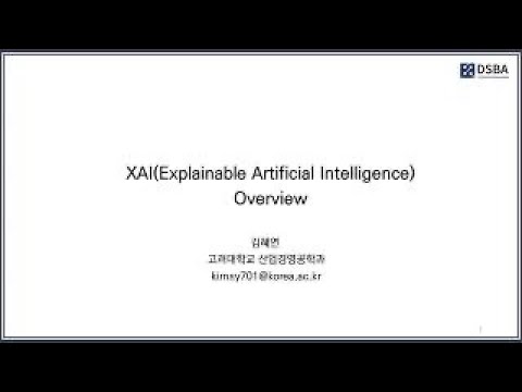 XAI Review - 1. Overview - YouTube