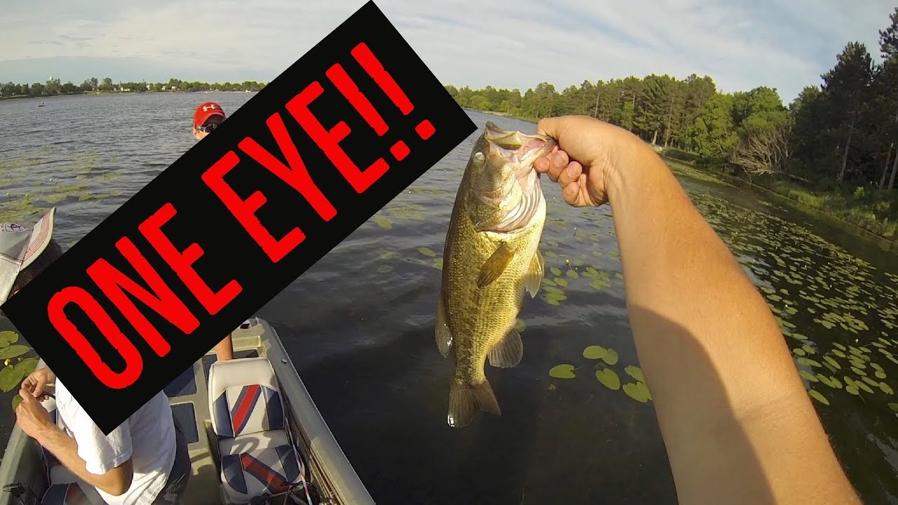 One Eyed BASS!! - YouTube