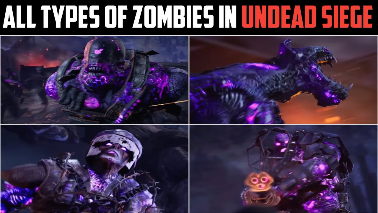 ALL TYPES OF ZOMBIE in Call of Duty Mobile Zombie Mode (Undead Siege ...