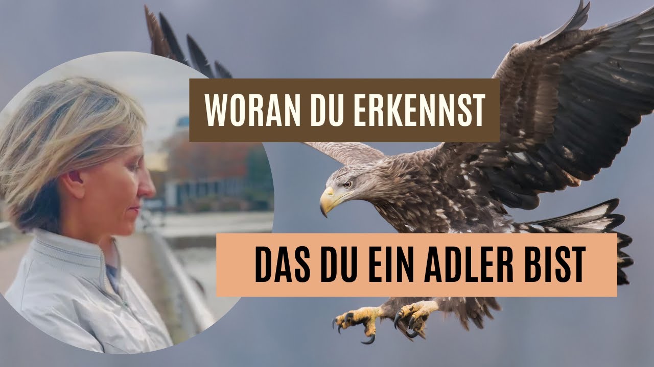 Bist du ein Adler und lebst wie ein Huhn? - YouTube