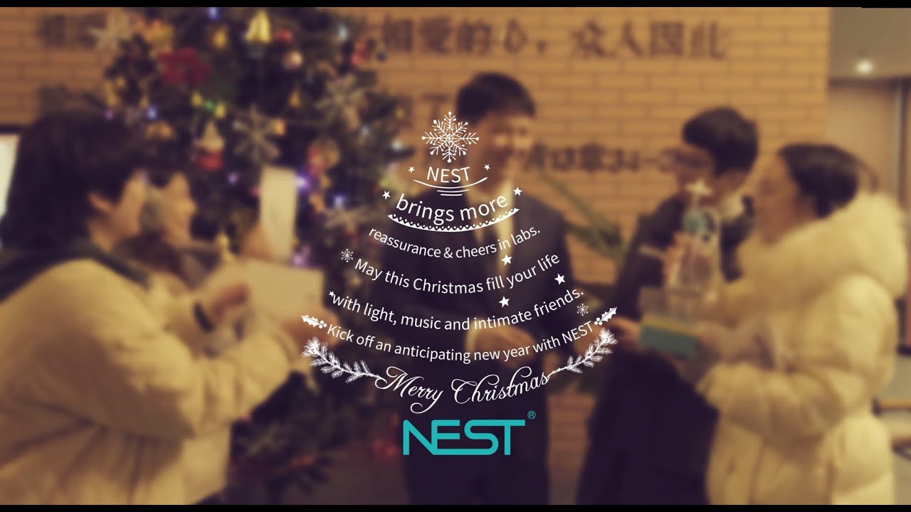 NEST wishes you a merry Christmas! - YouTube