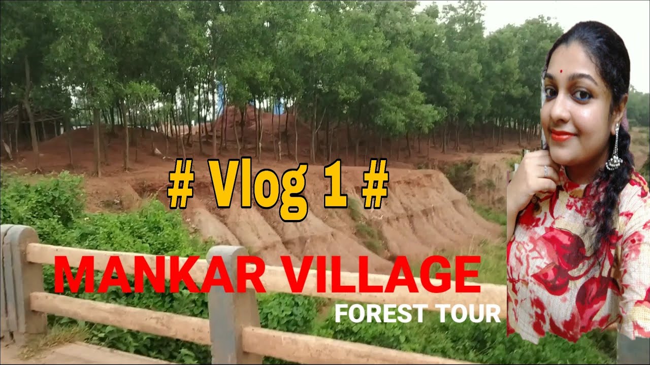 FOREST ROAD TRIP #MANKAR VILLAGE FOREST AREA # TRAVELVLOG # VLOG 1 ...