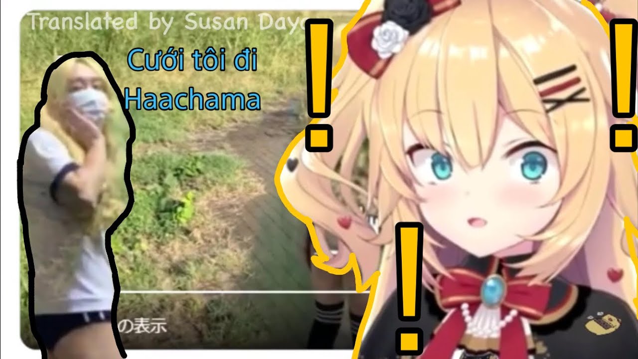 Hololive Vietsub | Fan của Haachama thật thú vị - YouTube