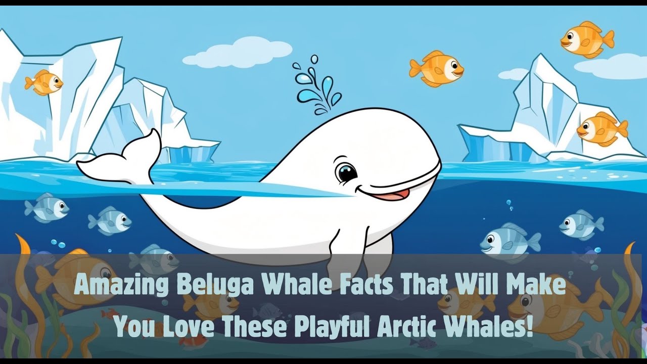 Why Are Beluga Whales Called Sea Canaries? Discover 10 Fun Facts! - YouTube