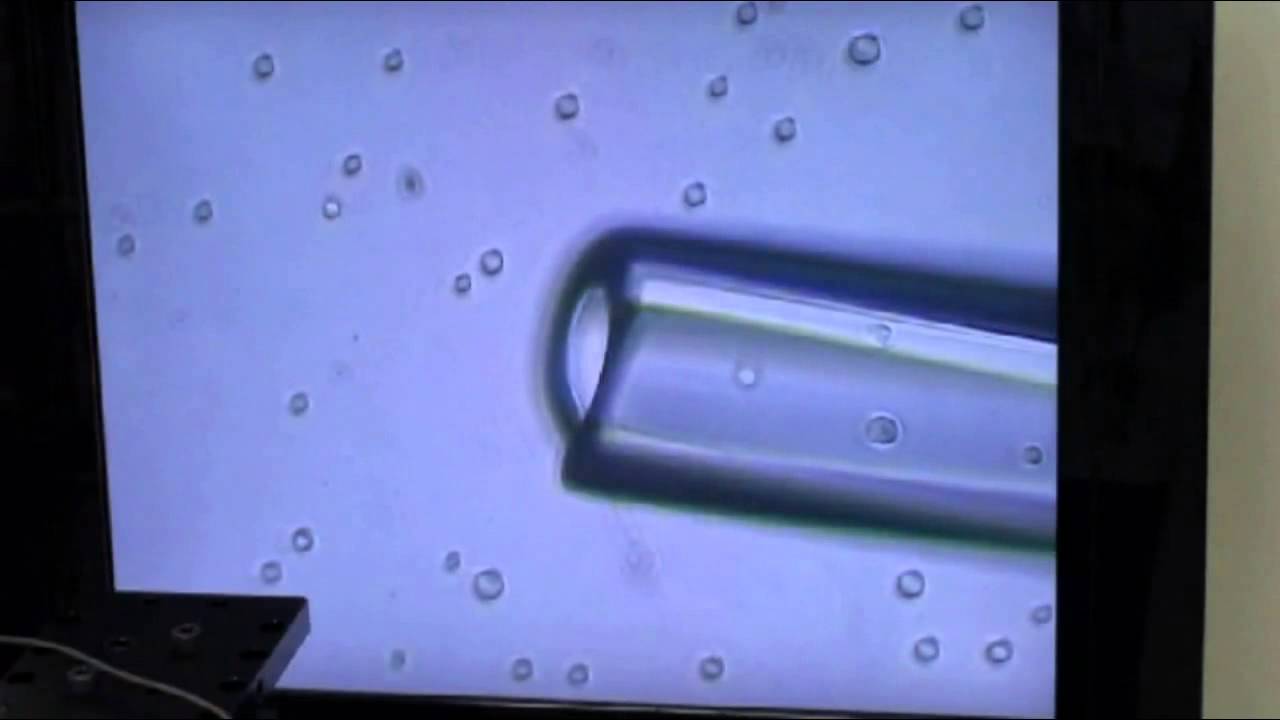 MPP 200Z Micro Pick and Place Z Robo System 2 - YouTube