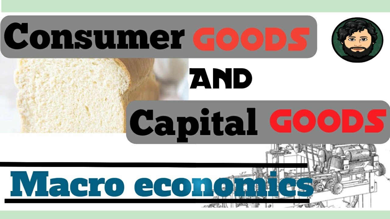 #08|Difference b/w consumer and capital good|Basic concepts of national ...
