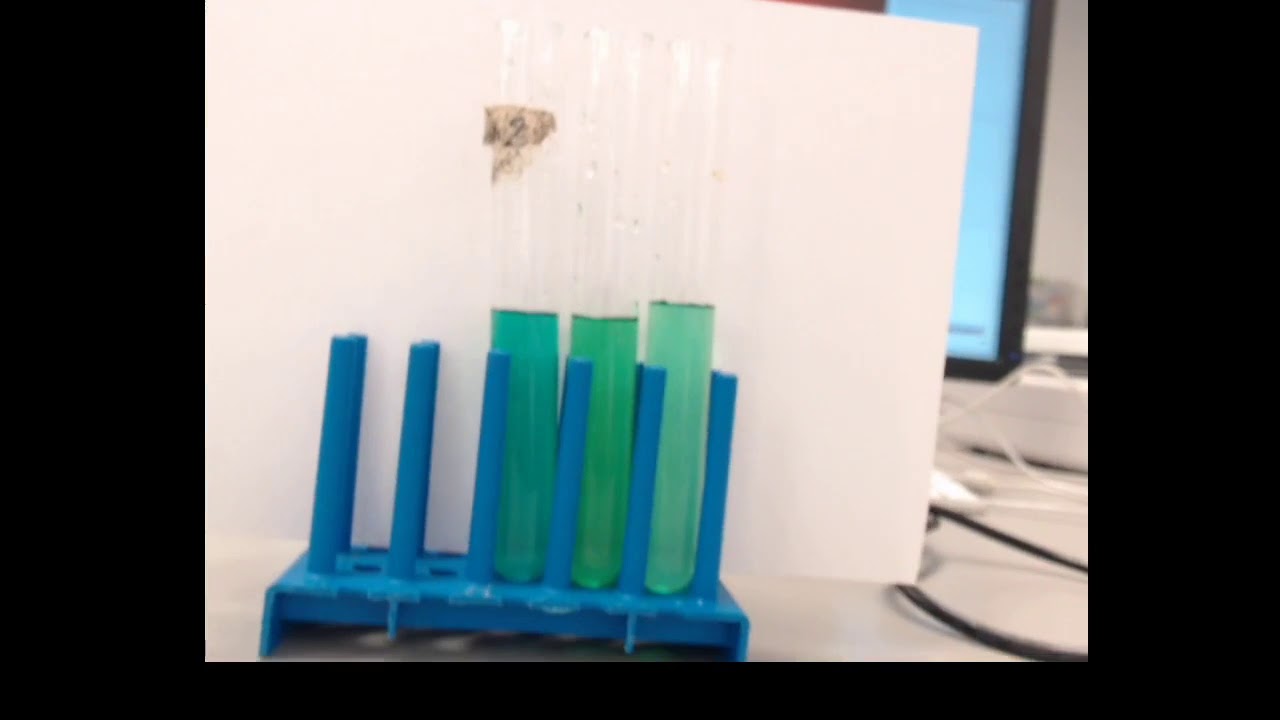 Abs Spec Food dyes - YouTube