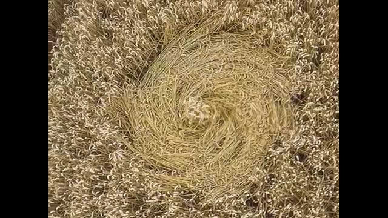 CROP CIRCLE - Nettle Hill nr Ansty ☼ Warwickshire UK ♥ reported August ...