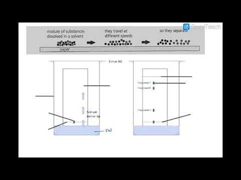 IGCSE Chemistry- Principles of chromatography - YouTube