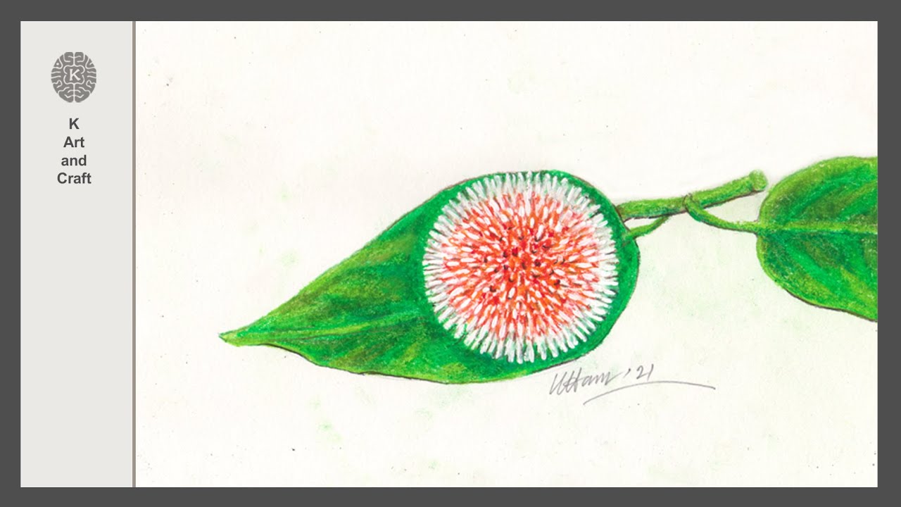How to draw easy kadamba flower step by step very simple Kadamba ...