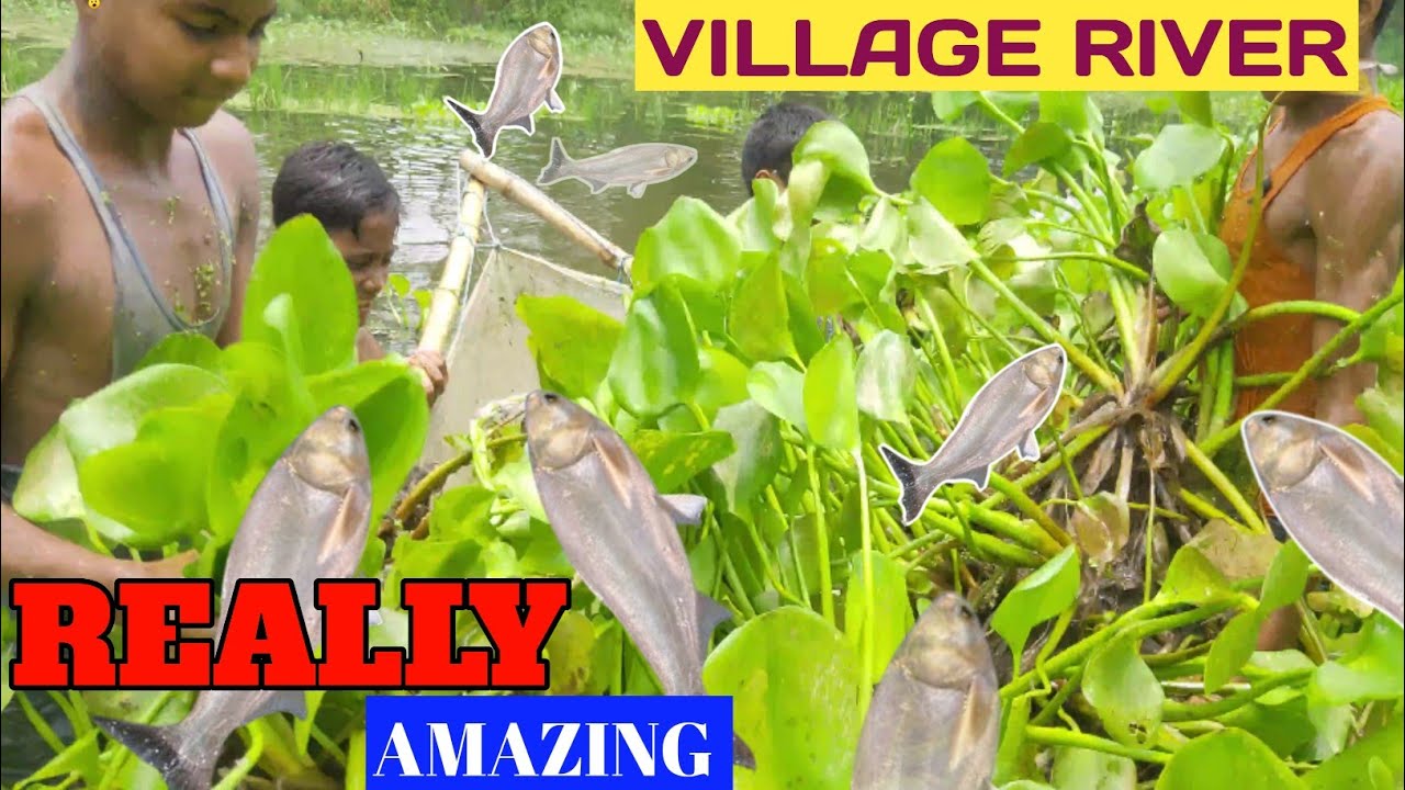 Really Amazing Push Net Fishing In River ! Best Fish Catch By Net ...