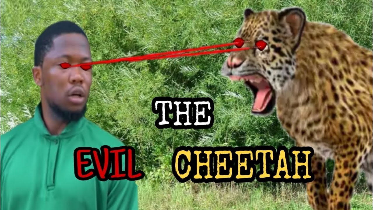 THE EVIL CHEETAH // THE TRAPPED SOULS // BRAINJOTTER COMEDIAN ...