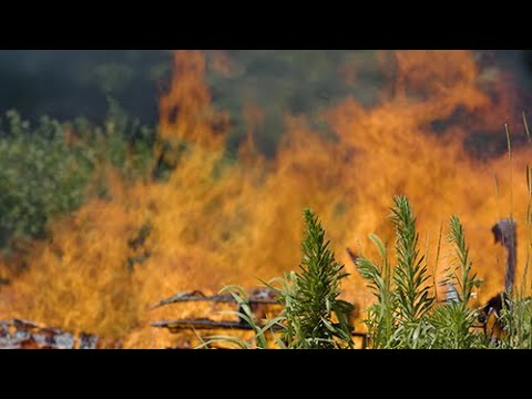 Hot Fire - 4K Realistic Footage - Instant Digital Download - YouTube