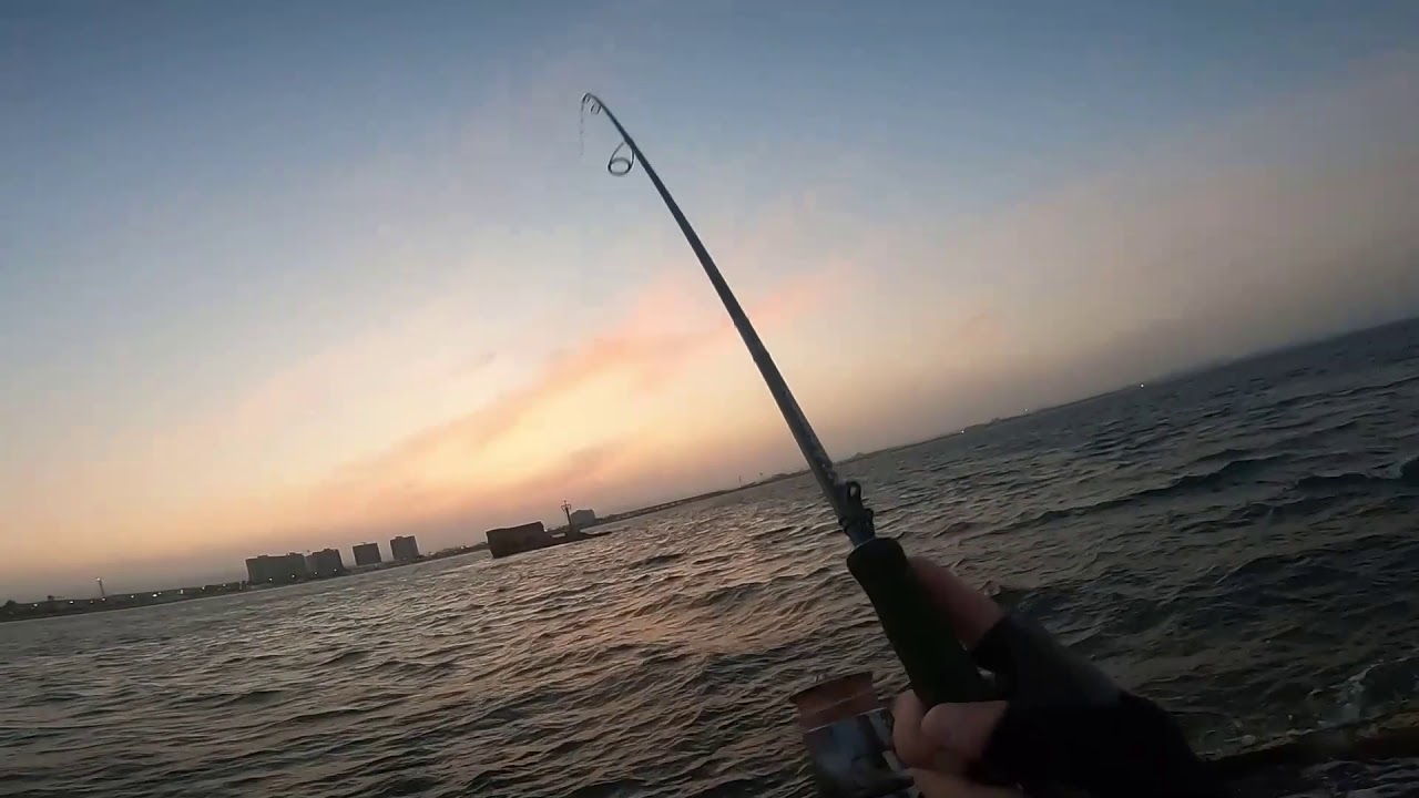 One Day Full Fishing Action - YouTube