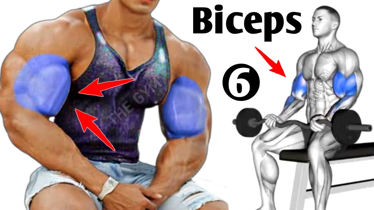 6 Ultimate Biceps Workout at the Gym for Bigger Arms - YouTube