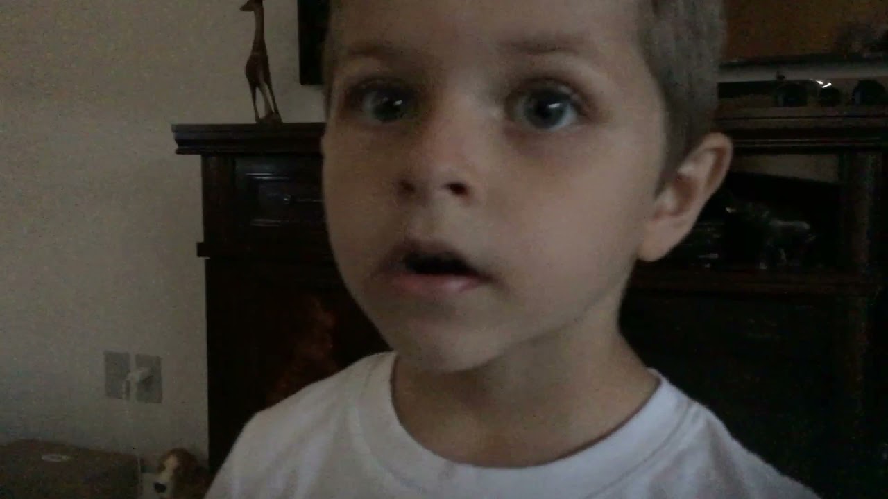 My new lizard and my old/new couch and my baby brother is working on ...