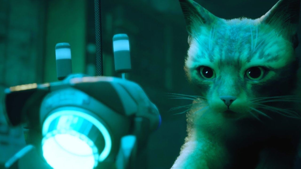 STRAY #3 "Los Suburbios" - YouTube