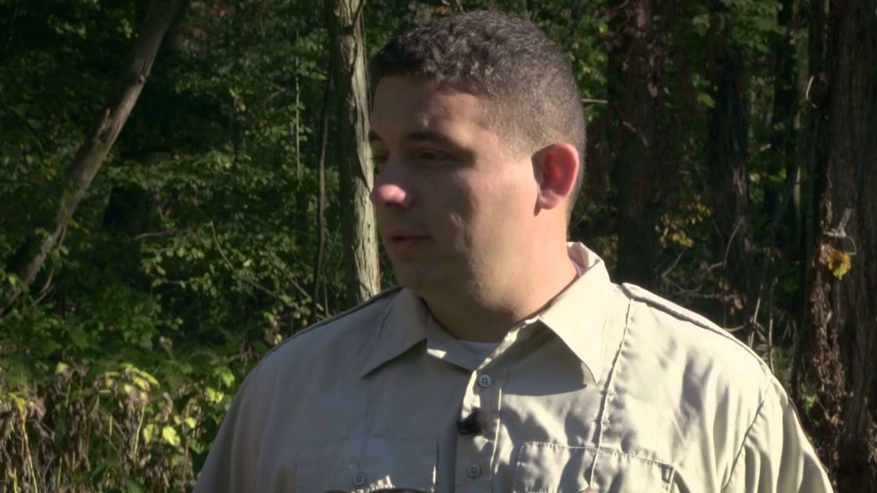 Creating an Opening in Your Forest | Indiana DNR - YouTube