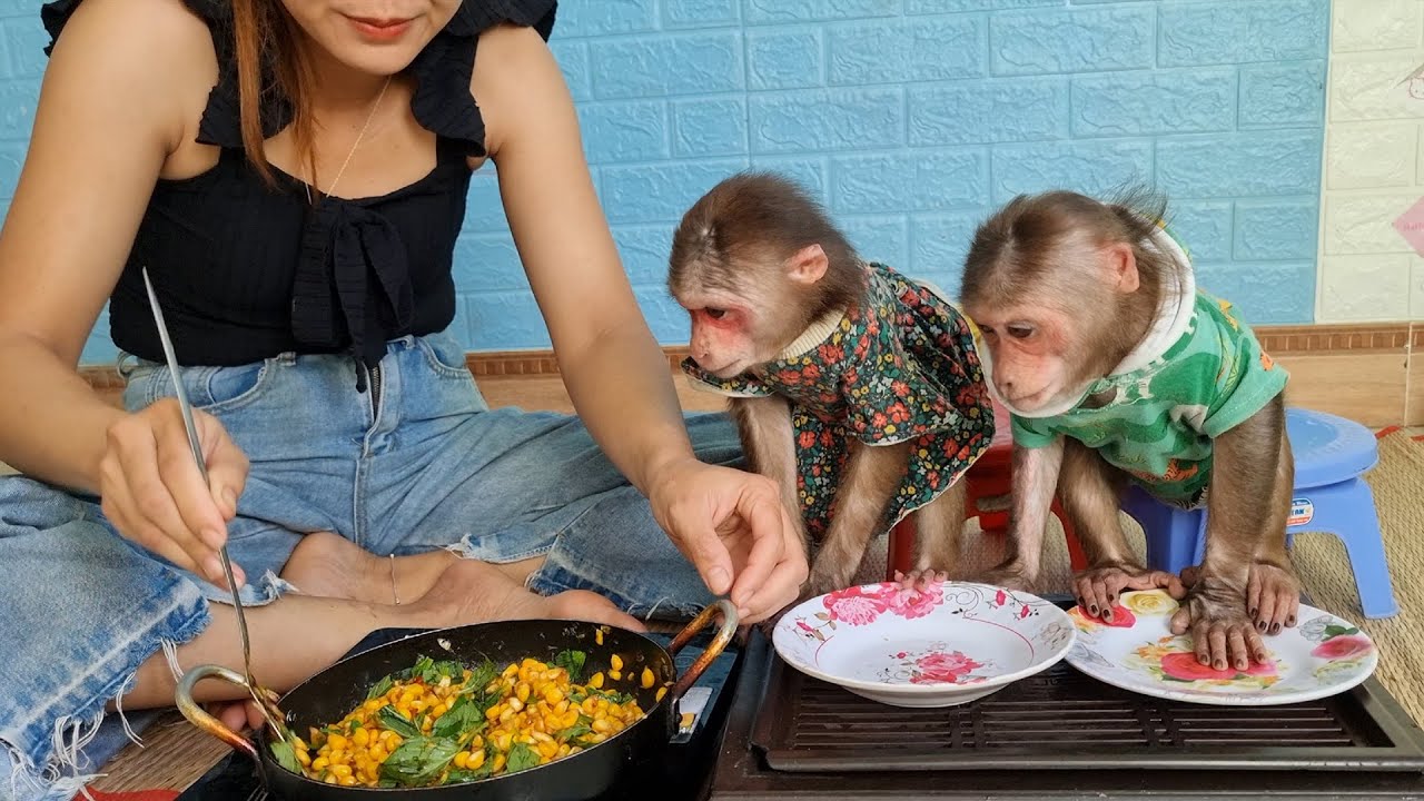 Mimi Kuku waits for Mom to make super delicious fried corn - YouTube