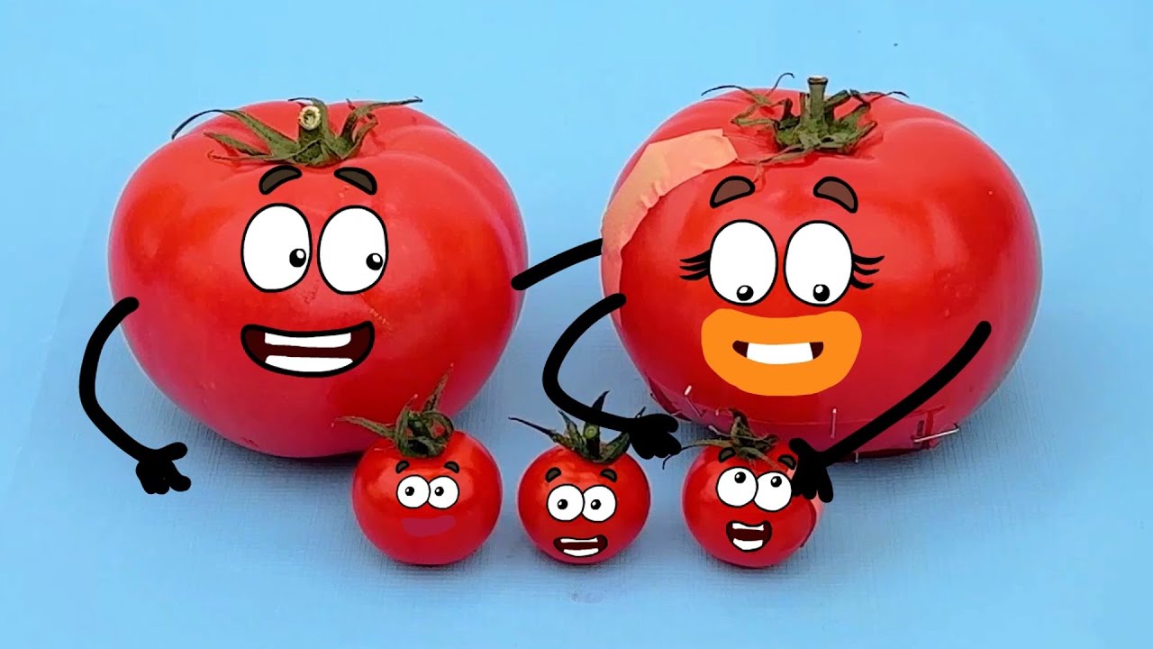 What's Behind the Magic of Crazy Doodles? Doodles are Taking OVER ...