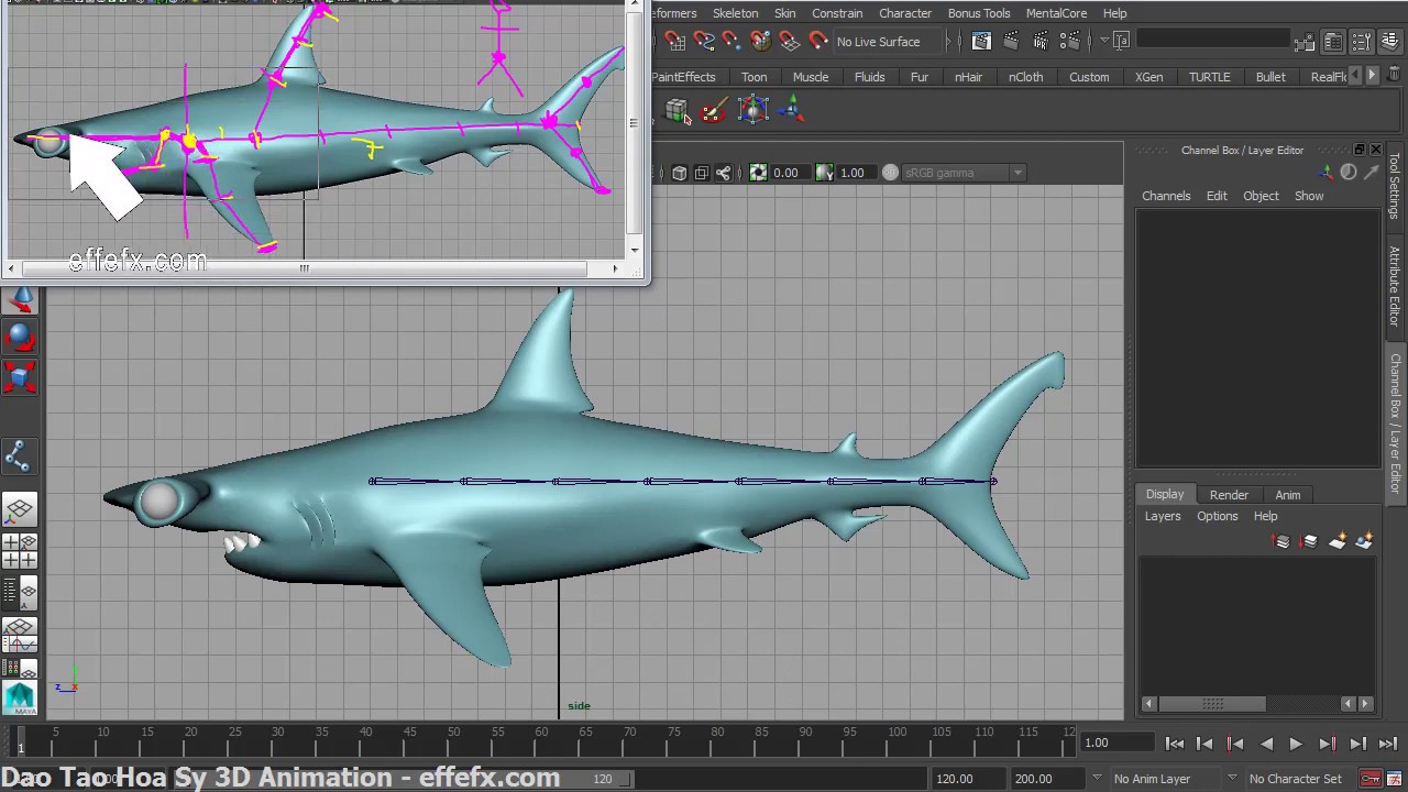 Học Rigging Maya Bài 5 Phần 1 Rig Cá Mập - YouTube