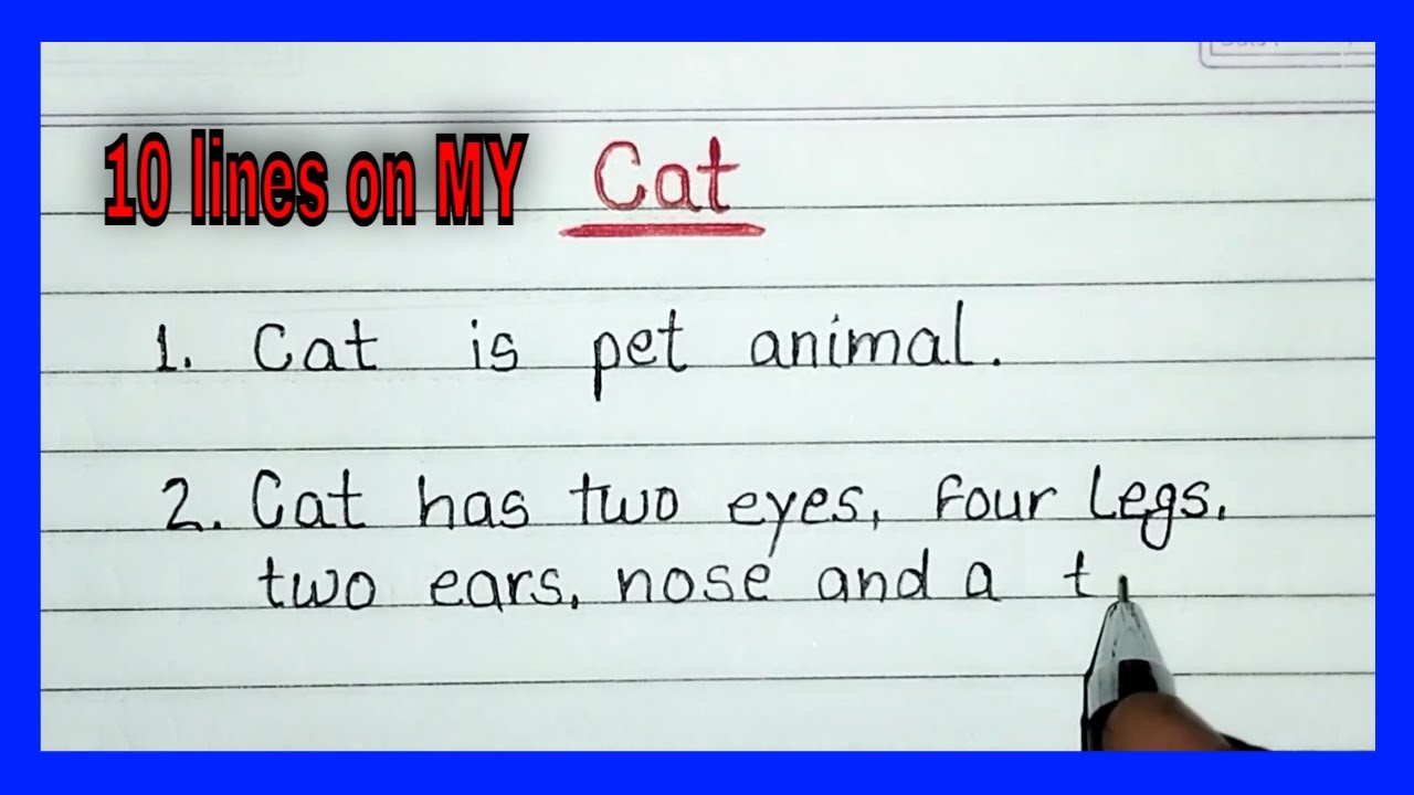 10 lines Essay on My Pet Cat in English/10 lines on Cat in english ...