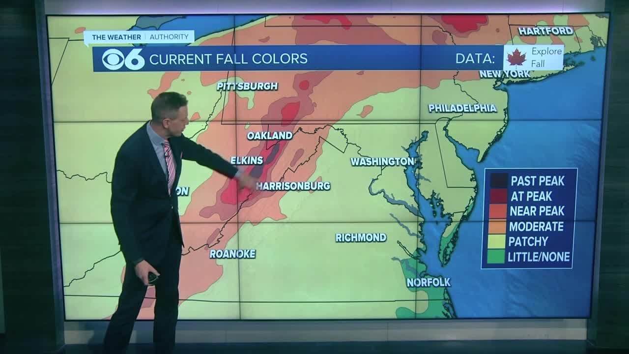 Richmond news and weather update for Saturday, Oct. 12 2024 - YouTube