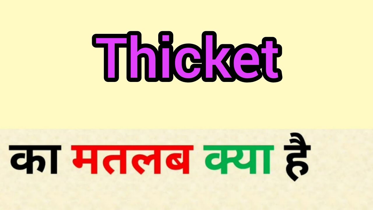 Thicket meaning in hindi | thicket ka matlab kya hota hai | word ...