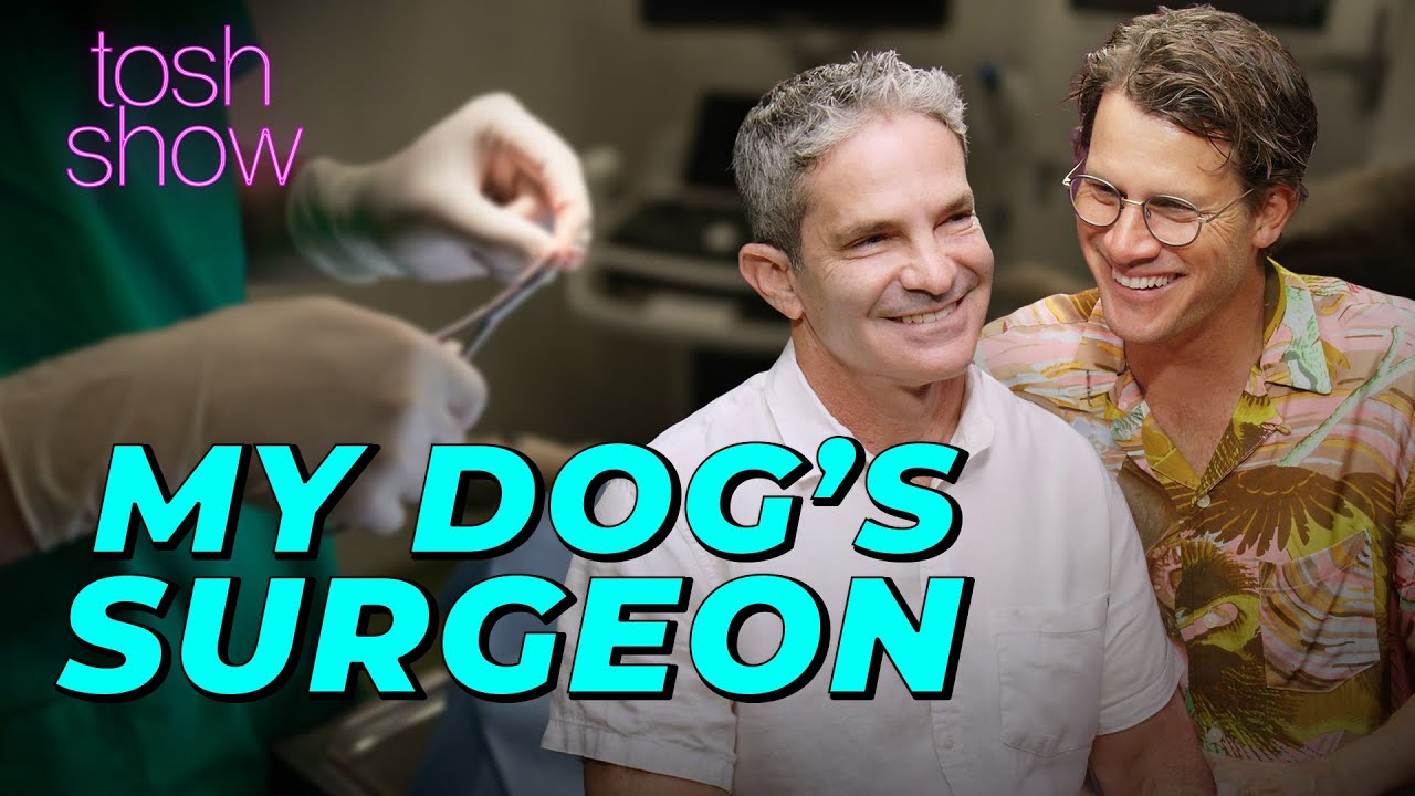 My Dog's Surgeon - Adam Strom | Tosh Show - YouTube