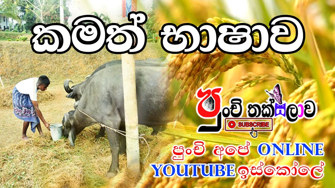 කම‍ත් භාෂාව | සිංහල | 05 වසර| Kamath Bashawa - YouTube