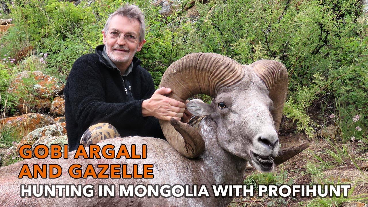 Gobi Argali and gazelle hunting in Mongolia with ProfiHunt - YouTube
