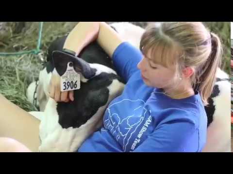 CREAM Show Team 2017 - YouTube