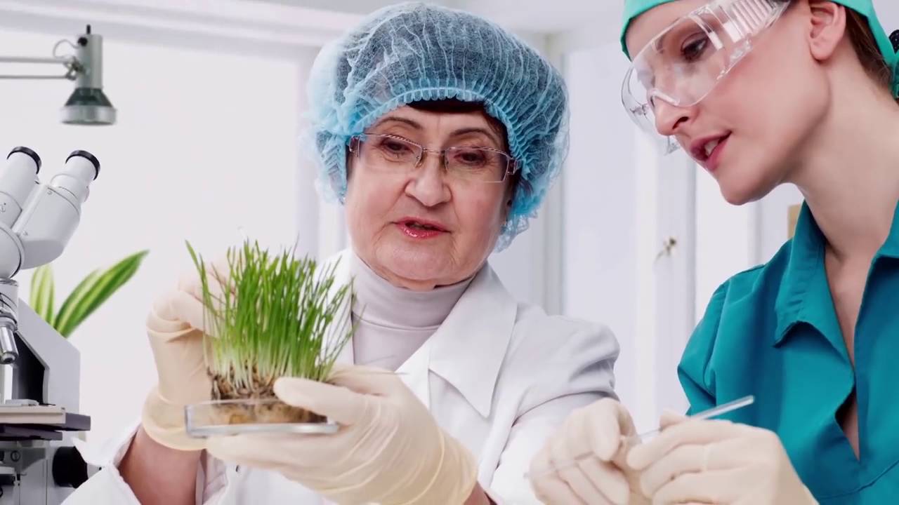 First the Seed Foundation - Seeds In Action - YouTube