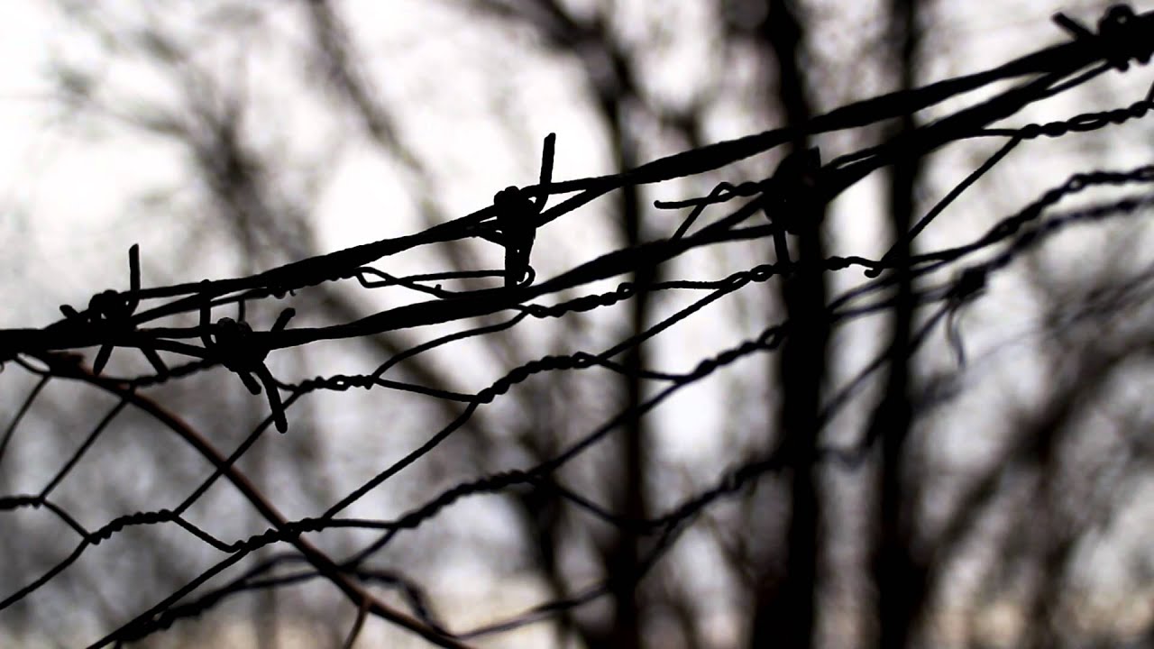 Creepy Old Barbed Wire Fence Stock Video - Free HD stock footage - YouTube