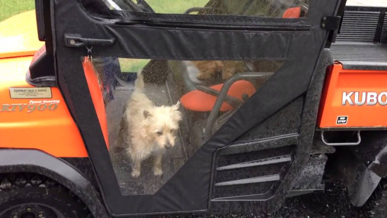 Kubota RTV 900: WHoo Hooo! Its back from the cab install! - YouTube